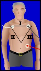 Section 1 : Introduction